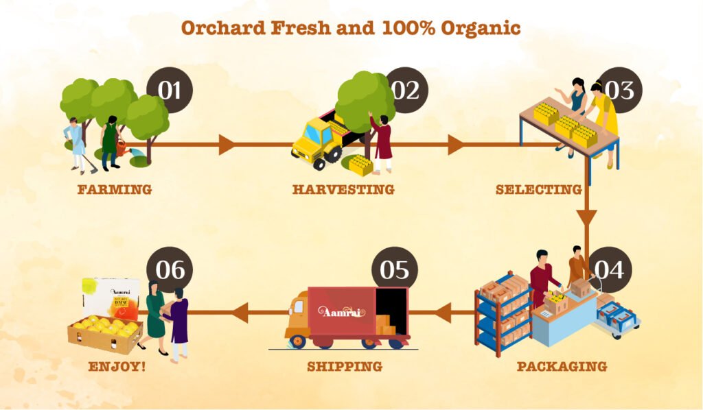 Organic Alphonso Mangoes Online Suppliers| Buy Best Hapus Mangoes