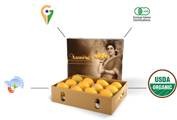 Buy Premium 100% Organic Mangoes in India Online | Aamrai