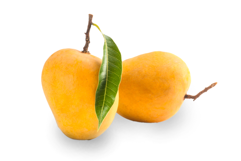 Buy Alphonso Organic Mangoes Online| Certified Organic Mangoes